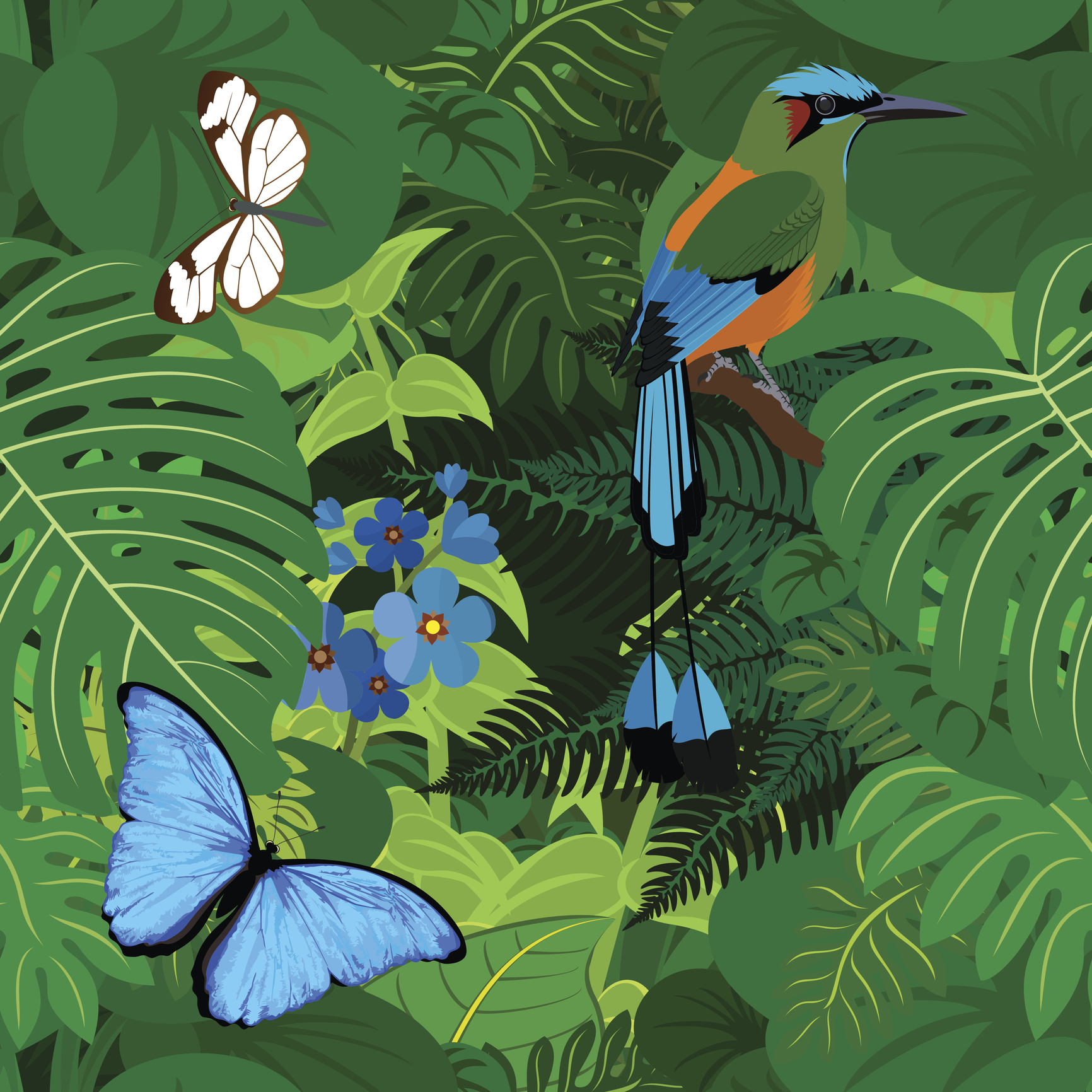 The Bird That Isn't the Blue Mot Mot | blue mot mot